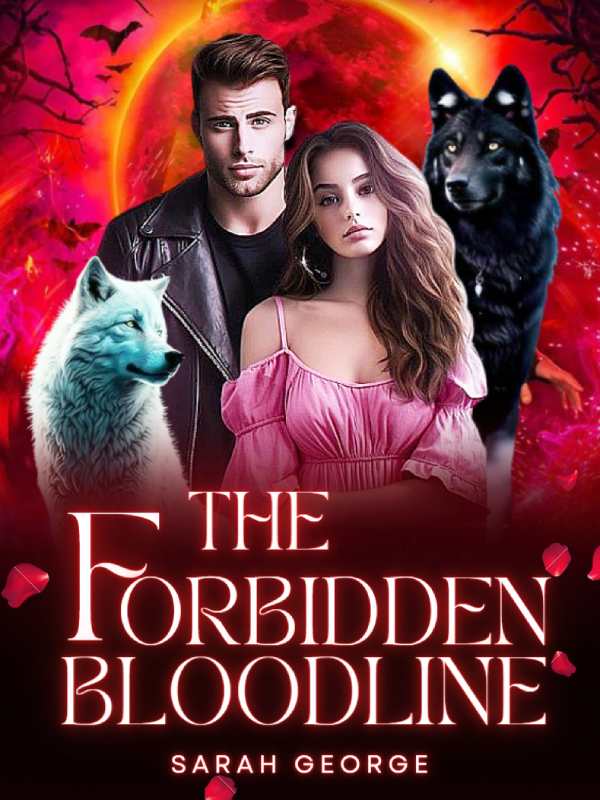 VolcanoEbook ｜Read or Create Your Best Web Novel