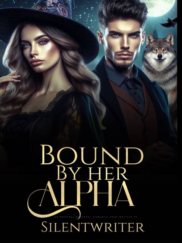 VolcanoEbook ｜Read or Create Your Best Web Novel