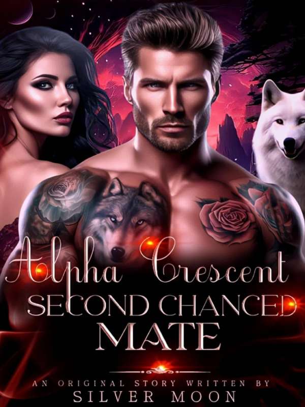 VolcanoEbook ｜Read or Create Your Best Web Novel